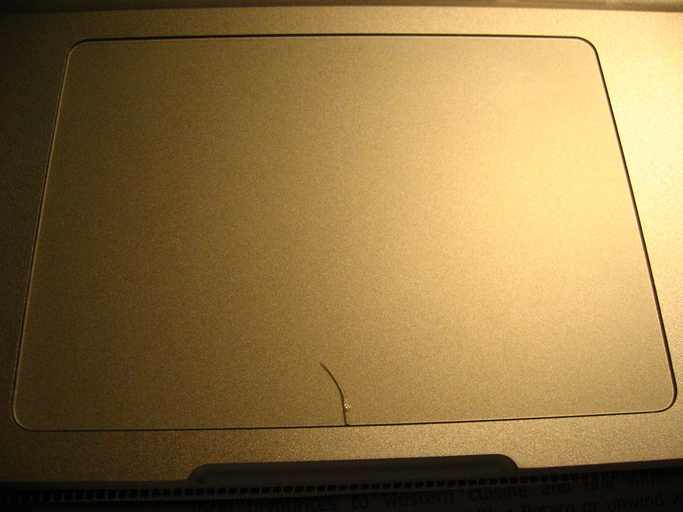 Help ed My Macbook Pro Trackpad Anyone Eles Page 2 