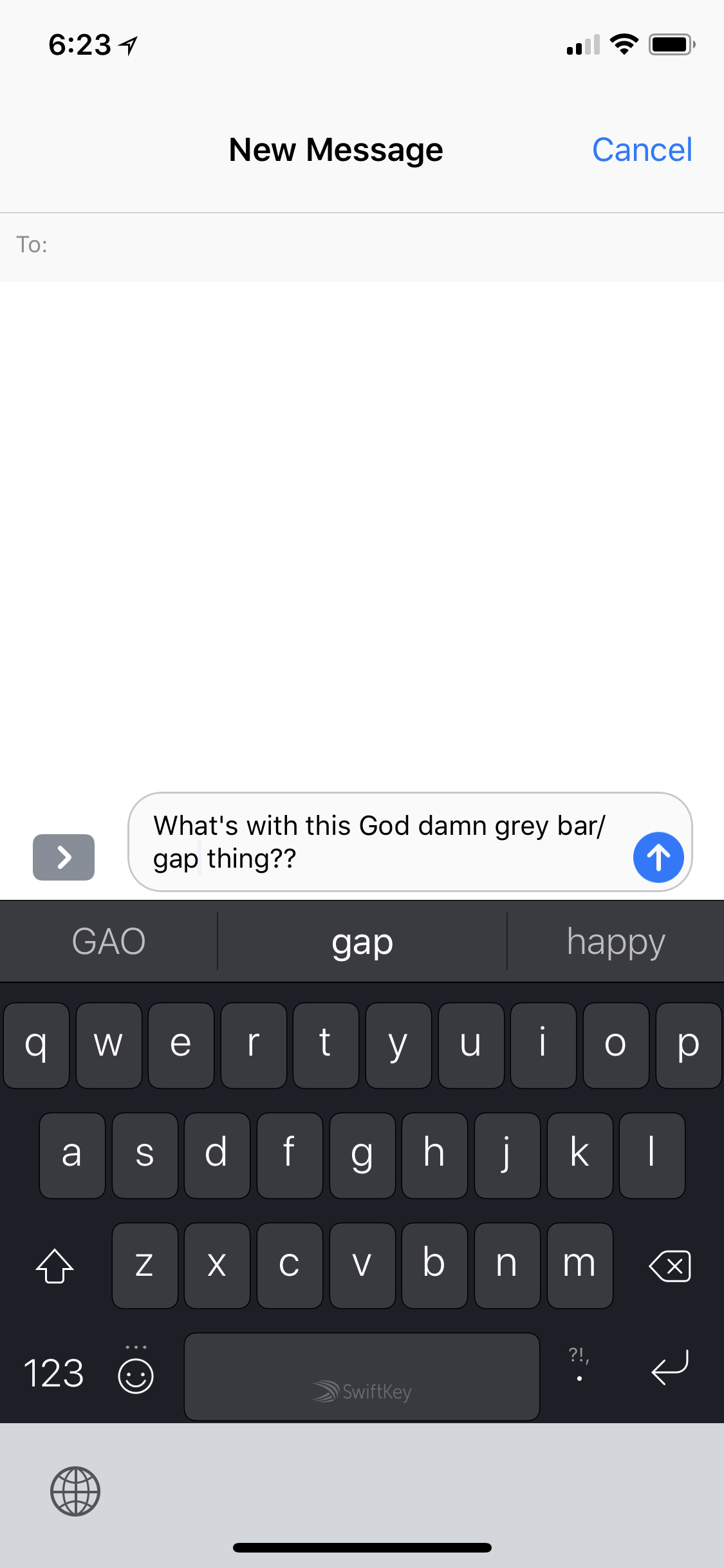 The Bottom Gray Bar - even WORSE than the Notch | MacRumors Forums