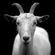 Backgroundshortcutrunner high CPU issue | MacRumors Forums