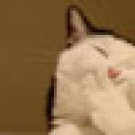 "Bruise" on Apple LCD Display screen | MacRumors Forums